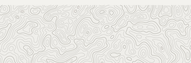 Topographic map patterns topography line Vector Image