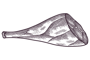 Parma ham drawing hand drawn hamon meat Royalty Free Vector