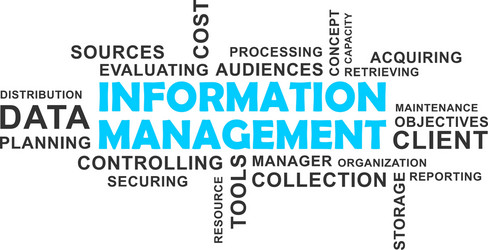 Management information system infographics Vector Image