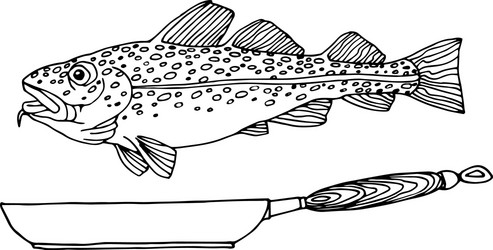 Cod Atlantic Drawing Vector Images (56)