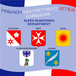 Official emblems of cities french department Vector Image