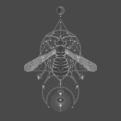 Wasp and geometric symbol Royalty Free Vector Image