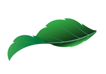 Two green leaves cartoon icon Royalty Free Vector Image