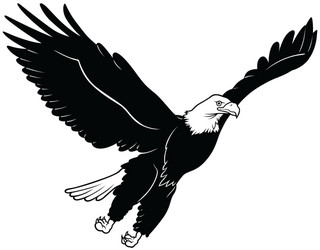 Eagle - three variations Royalty Free Vector Image