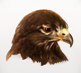 Realistic Eagle Vector Images (over 1,300)
