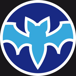Bat Graffiti Vector Images (over 250)