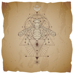 Bee Sacred Geometry Vector Images (98)