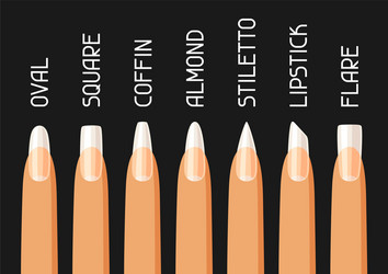 Nail shape drawing diagram template Royalty Free Vector