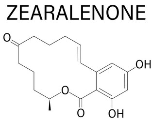 Ral Vector Images (50)