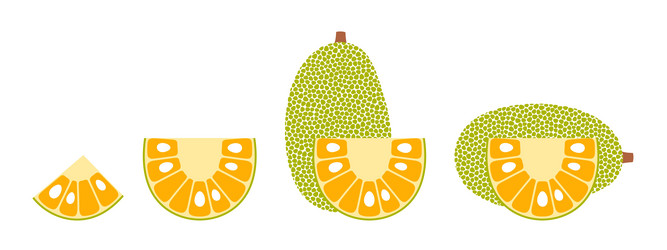 Jackfruit Logo Vector Images (94)