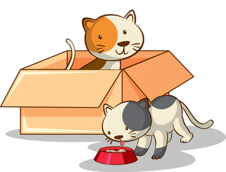 Isolated picture two cats in box Royalty Free Vector Image