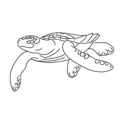 Leatherback Turtle Vector Images (over 190)