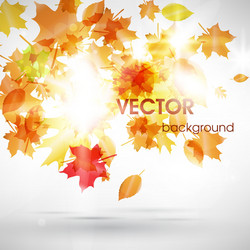 Autumn leaf fall background Royalty Free Vector Image
