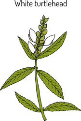 Bitter Symbol Vector Images (over 3,500)