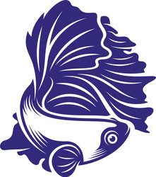 Colorful siamese fighting fish or betta swimm Vector Image