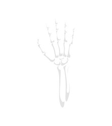 Skeleton hand clenches into a bony fist gesture Vector Image