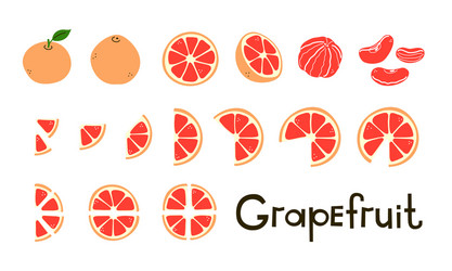 Grapefruit Animated Vector Images (59)