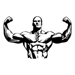 Muscular torso in drawing stencil Royalty Free Vector Image