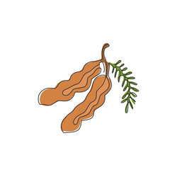 Tamarind Outline Vector Images (over 120)