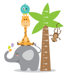 Animal Height Meter Stickers Royalty Free Vector Image