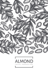 Hand drawn sketch almond design template organic Vector Image