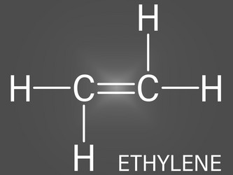 Ethylene or ethene molecule skeletal formula Vector Image