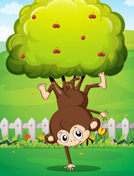 Monkey Handstand Vector Images (90)