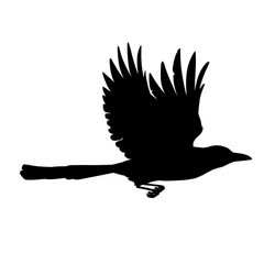 Pica Vector Images (over 160)