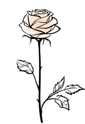 Pink Rose Stem Vector Images (over 1,500)