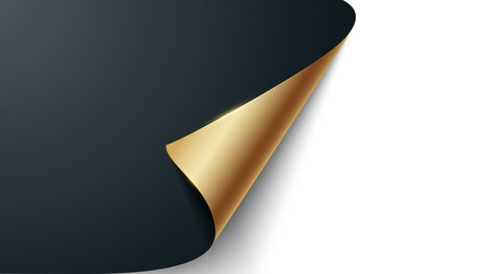 Golden peeled corner on black white background Vector Image