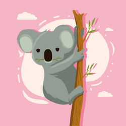 Koala australian animal Royalty Free Vector Image