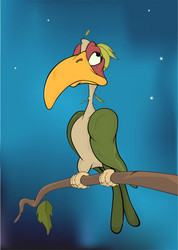 Bird Sad Parrot Vector Images (80)