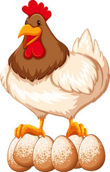 Diagram showing parts of chicken Royalty Free Vector Image