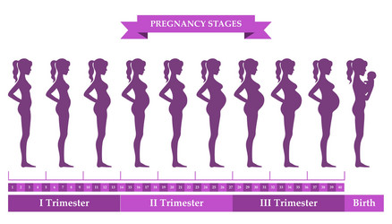 Pregnant Vector Images (over 37,000)