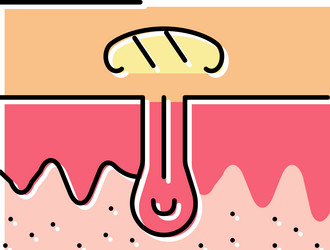 Pubic Hair Vector Images (over 270)