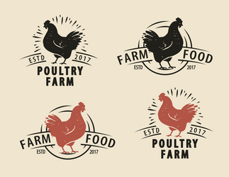 Vintage Chicken Vector Images (over 16,000)