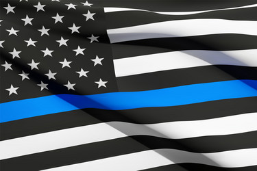 Shield with law enforcement support flag Vector Image