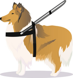 Guide Dog Vector Images (over 1,400)