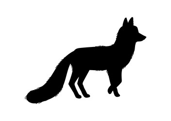 Cunning Fox Clipart Images