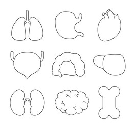 Anatomy Coloring Pages Vector Images (over 440)