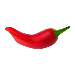 Realistic hot red chilli Royalty Free Vector Image