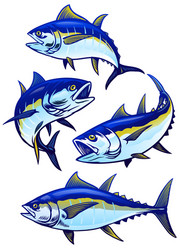 Tuna Vector Images (over 27,000)