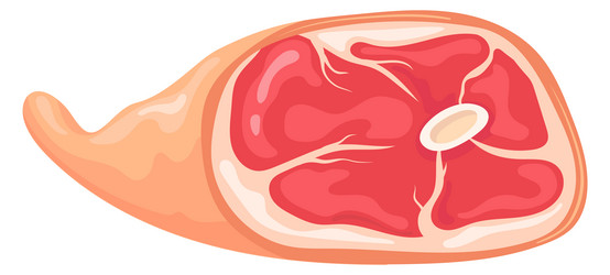 Parma ham cartoon icon smoked pork leg Royalty Free Vector