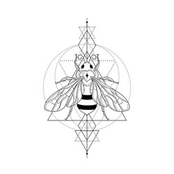 Bee Sacred Geometry Vector Images (98)