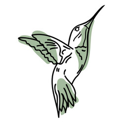 Color stroke semi colored hummingbird Royalty Free Vector