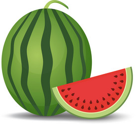 Watermelon Vector Images (over 63,000)