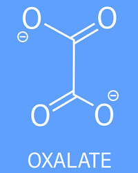 Oxalate anion chemical structure skeletal formula Vector Image