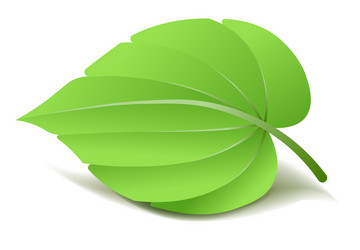 Green leaf Royalty Free Vector Image - VectorStock