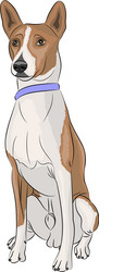 Basenji Vector Images (over 150)