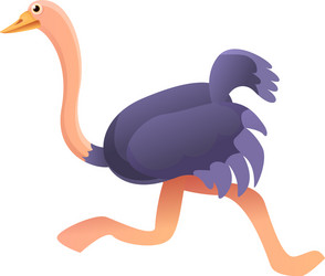 Emu Running Cartoon Vector Images (over 100)